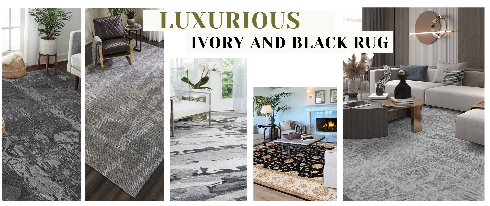 Elegant Luxurious Ivory and Black Area Rug – Atlanta Designer Rugs