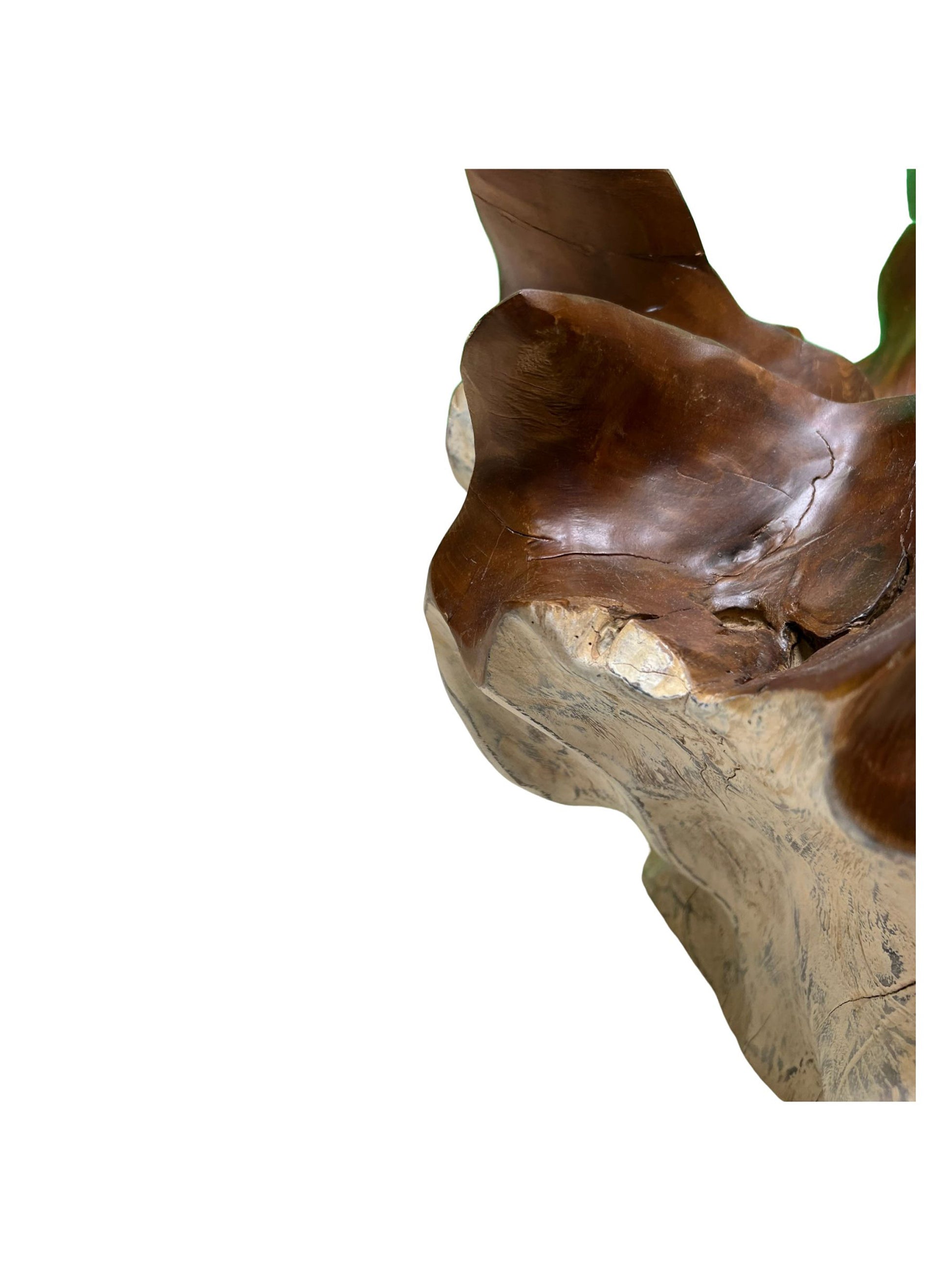 Eclectic Home Side Table Teak Root End Table W/Glass Silverpointe Deco