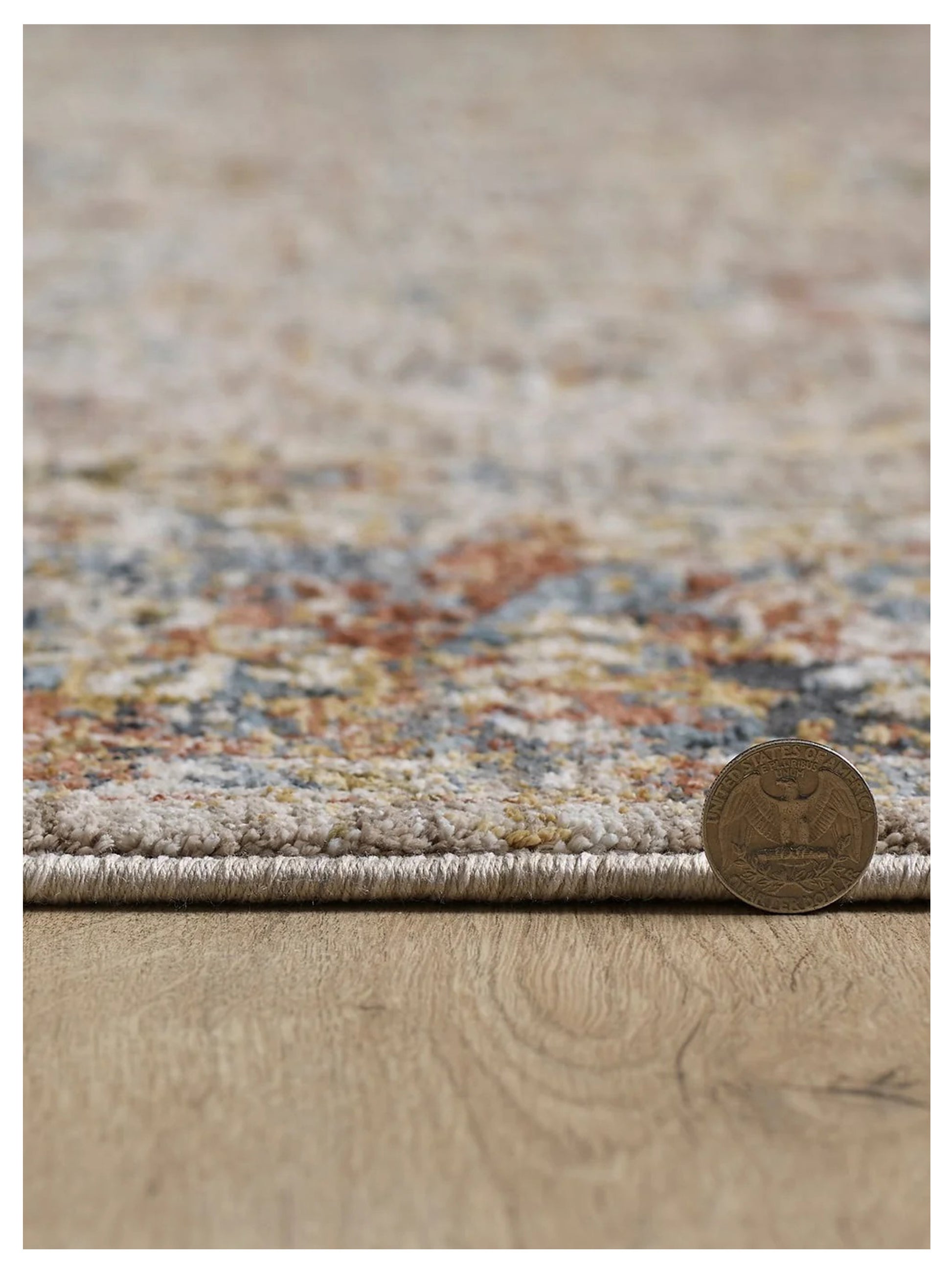KAS Avani 8404 Taupe Transitional Machinemade Rug – Atlanta Designer Rugs
